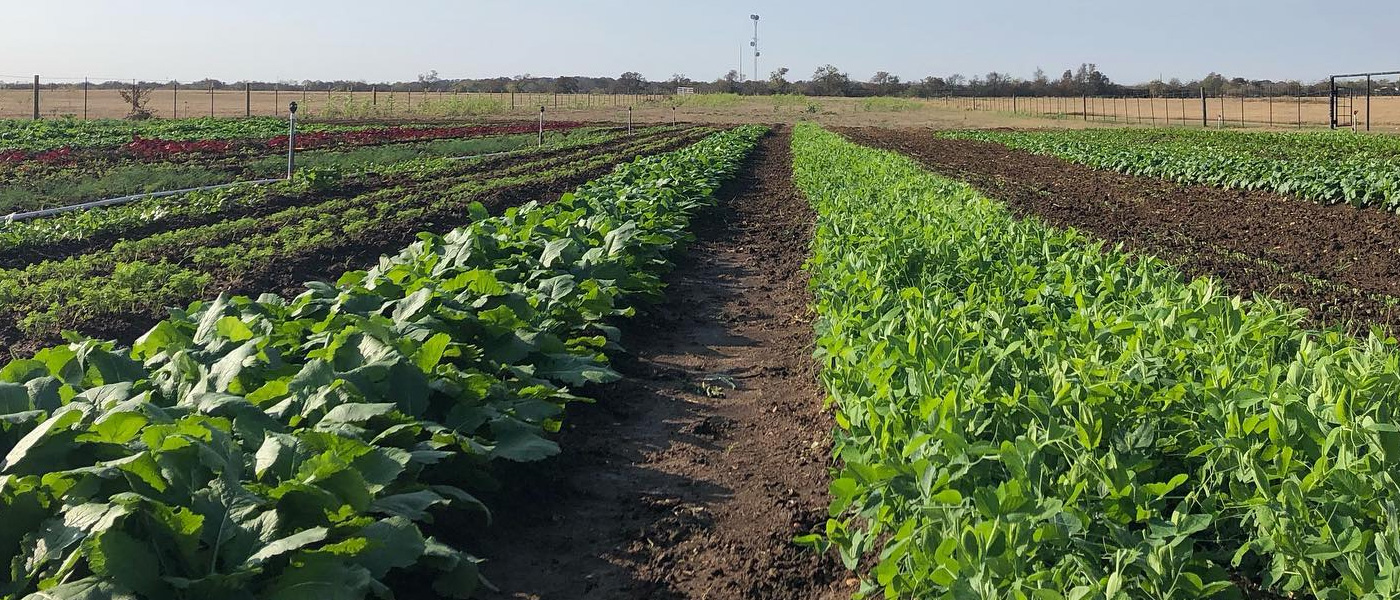 Simple Promise Farms – Elgin Farmers’ Market